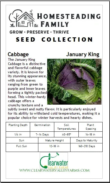 January King - The Royal Cabbage of the Winter Garden– Clearwater ...