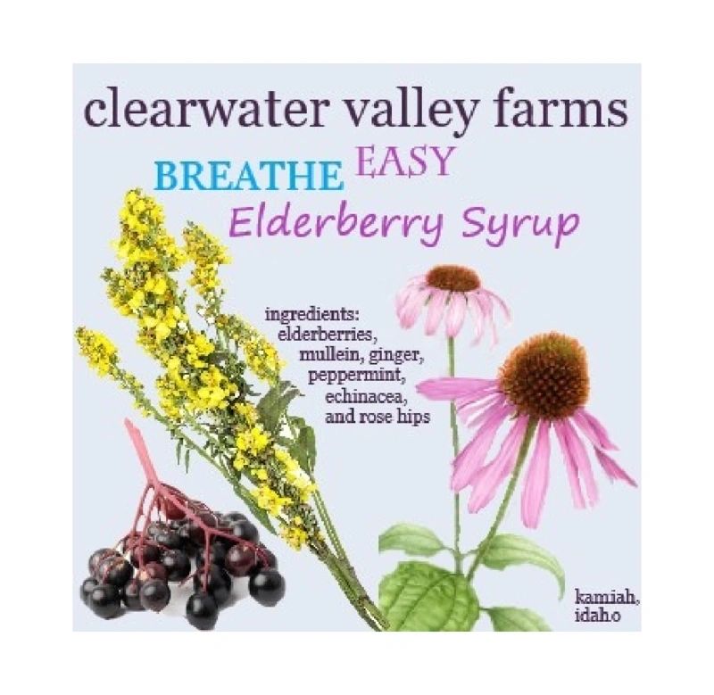 Breathe Easy Elderberry Syrup Kit– Clearwater Valley Seeds