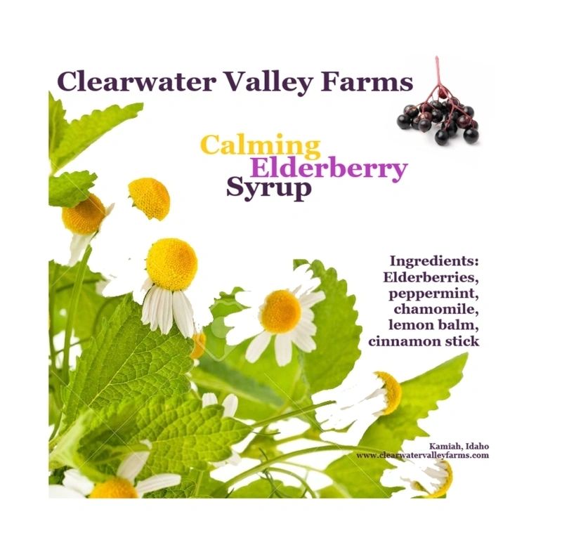 Calming Elderberry Syrup Kit– Clearwater Valley Seeds